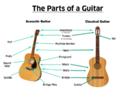 Guitar Anatomy | Parts Of A Guitar – Lesson #2 - Real Guitar Lessons by ...